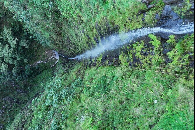 Hawaii Oahu Canyon Rappel & Hike Expedition Tour - Who Will Love This Tour?