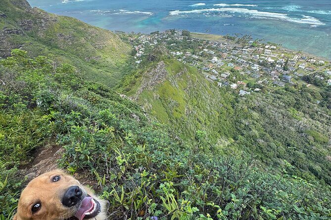 Hawaii Oahu Canyon Rappel & Hike Expedition Tour - Final Thoughts