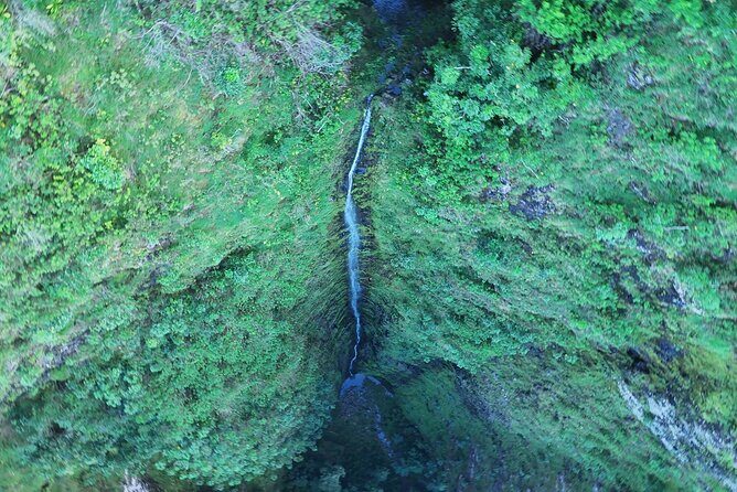 Hawaii Oahu Canyon Rappel & Hike Expedition Tour - FAQ