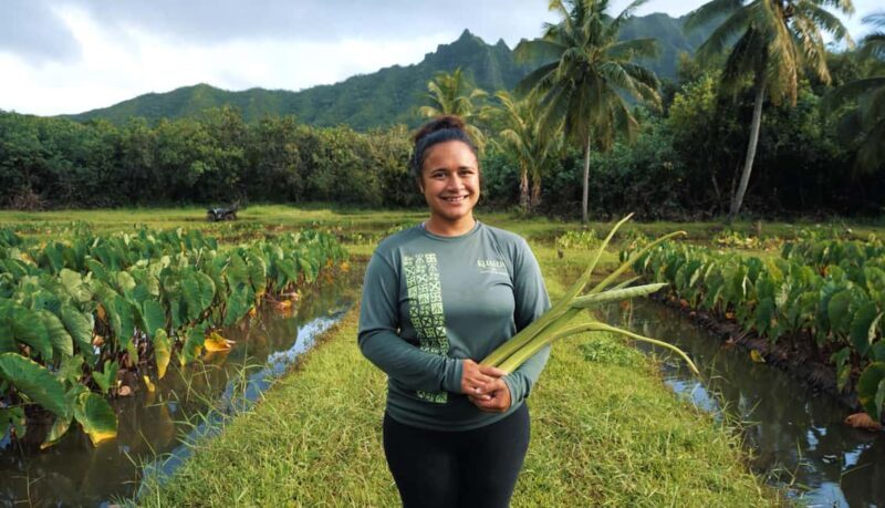 Hawaii: Oahu Explorer Pass - Tickets for 3 to 7 Attractions - Who Is This Pass Best For?