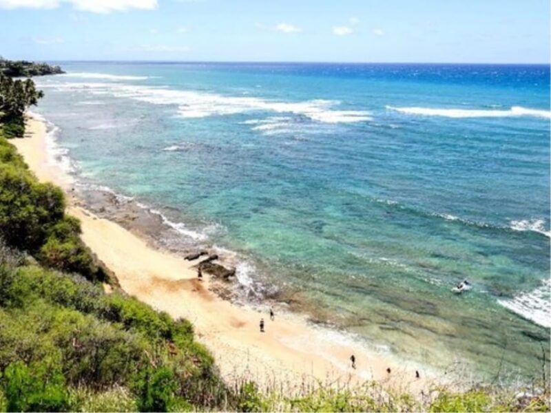 Hawaii : Oahu Island Sightseeing and Food Combo Tour - The Sum Up