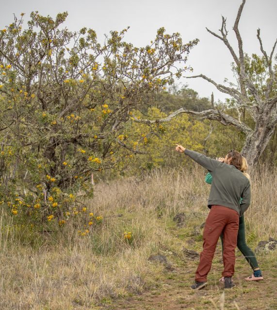 Hawaii: Private All-Inclusive High Country Adventure - Scenic Highlights & Picnics