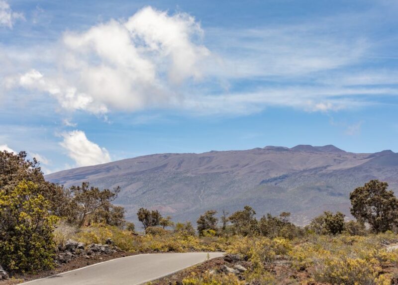Hawaii: Private All-Inclusive High Country Adventure - Who Should Consider This Tour?