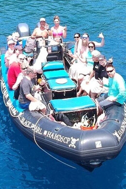 Hawai'i: Private Snorkeling Tour with Lunch and Drinks - An In-Depth Review: What Makes This Tour Stand Out?