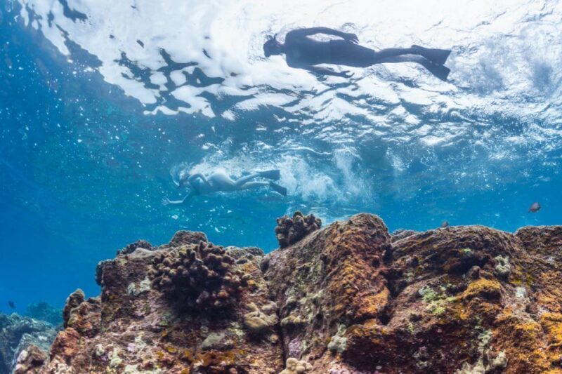 Hawaii: Pu'uhonua O Honaunau & Kealakekua Bay Snorkel Tour - A Closer Look at the Tour: What to Expect