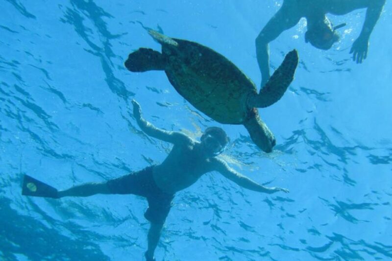 Hawaii: Pu'uhonua O Honaunau & Kealakekua Bay Snorkel Tour - FAQs