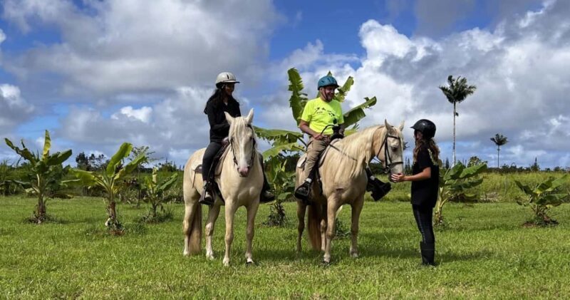 Hawaii: Small Group Rainforest Trail Ride - An Authentic Rainforest Ride on the Big Island