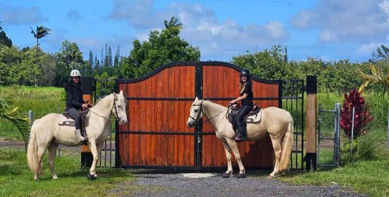 Hawaii: Small Group Rainforest Trail Ride - The Value of the Experience
