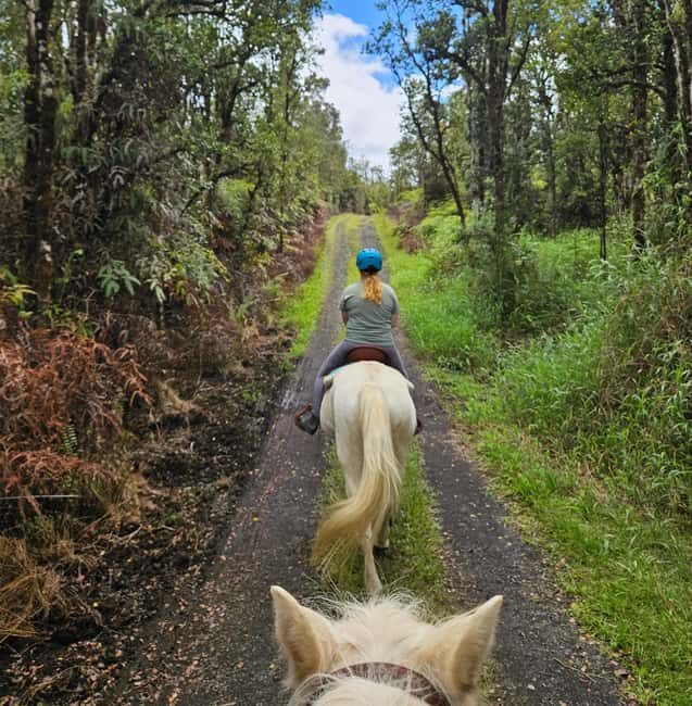 Hawaii: Small Group Rainforest Trail Ride - Final Thoughts