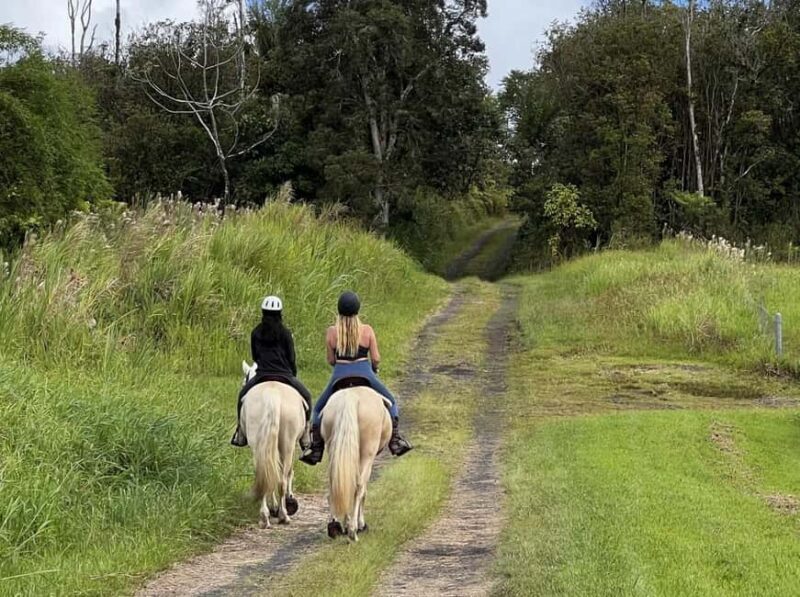 Hawaii: Small Group Rainforest Trail Ride - FAQs