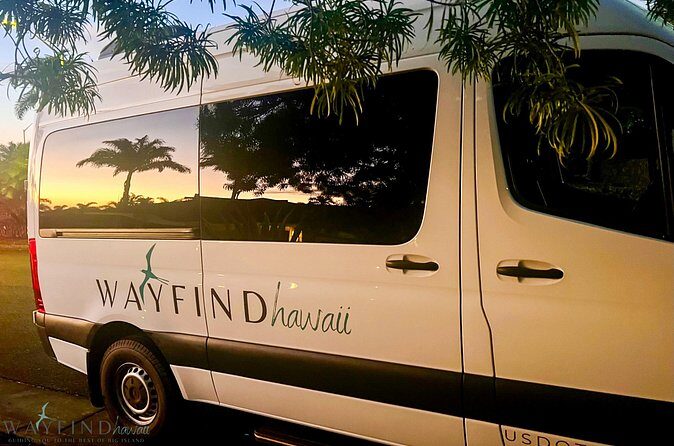 Hawaii Volcano NP Private Tour: 4-Hour Park Immersion - The Sum Up