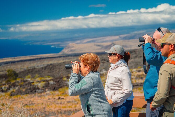 Hawaii Volcanoes National Park Hiking Small Group Adventure - The Sum Up: Who Should Consider This Tour?