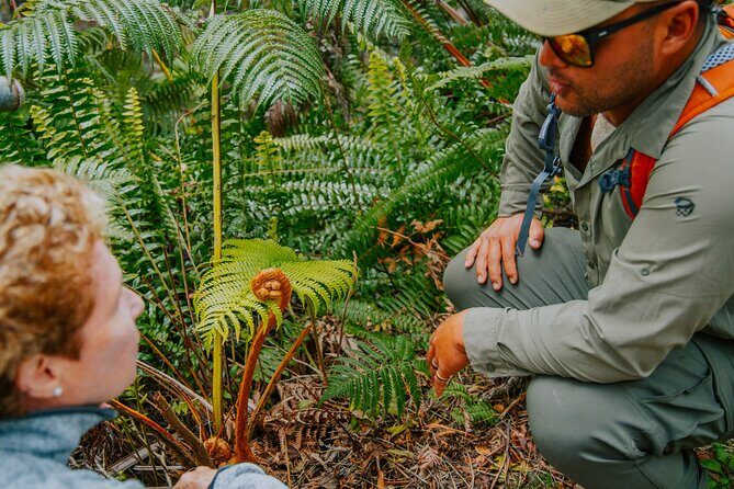 Hawaii Volcanoes National Park Hiking Small Group Adventure - FAQs