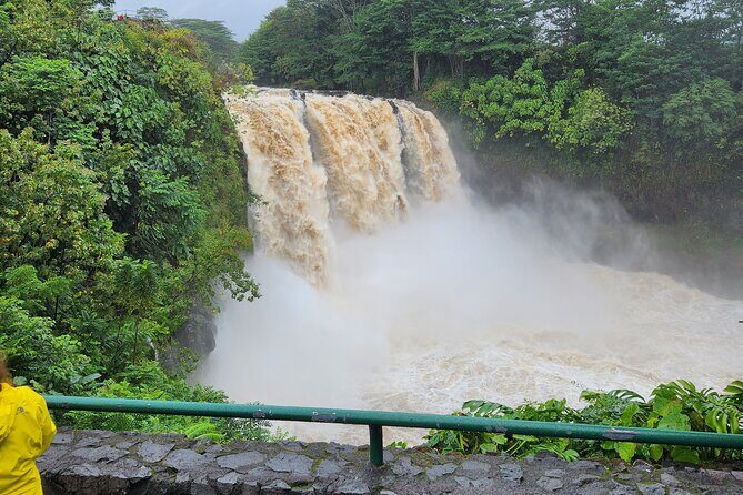 Hawaii Volcanoes, Waterfalls, Beaches & Hilo Highlights Day Tour - What Makes This Tour Stand Out?