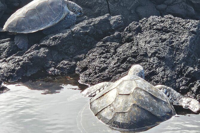 Hawaii Volcanoes, Waterfalls, Beaches & Hilo Highlights Day Tour - Final Thoughts: Is It Worth It?