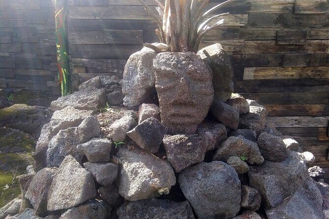 Hawaiian Ohia Tea and Tikis - Final Thoughts: Who Is This Tour Best Suited For?