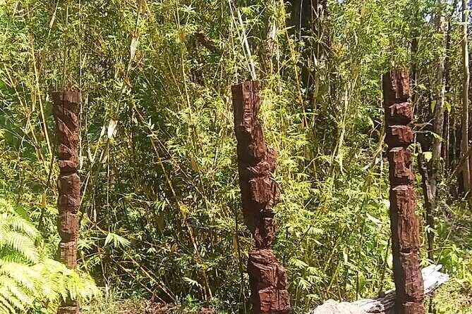 Hawaiian Ohia Tea and Tikis - The Sum Up