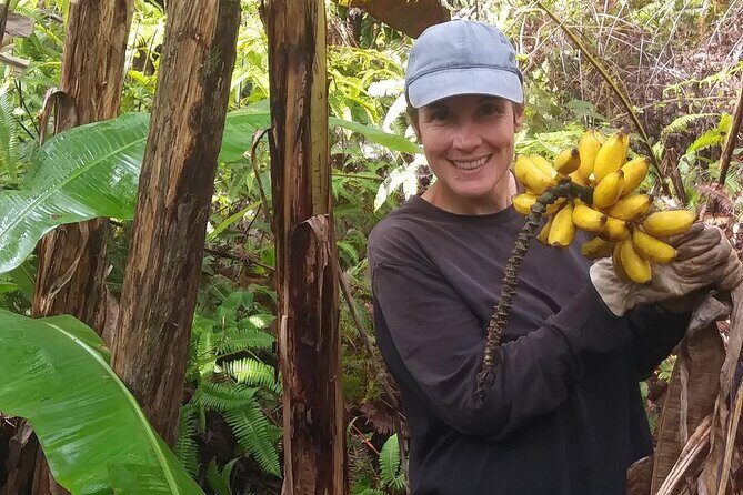 Hawaiian Rainforest Banana Cultivation Experience - A Tour Rooted in Nature and Farming
