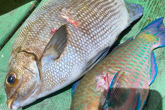Hawaiian Reef Spearfishing Lesson for Beginners - The Value and Practical Considerations
