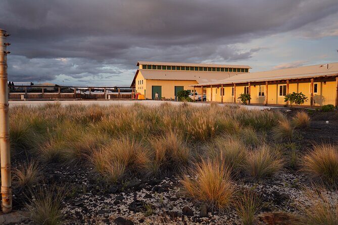 Hawaiian Salt Farm Tour in Kona - Practical Details and Tips