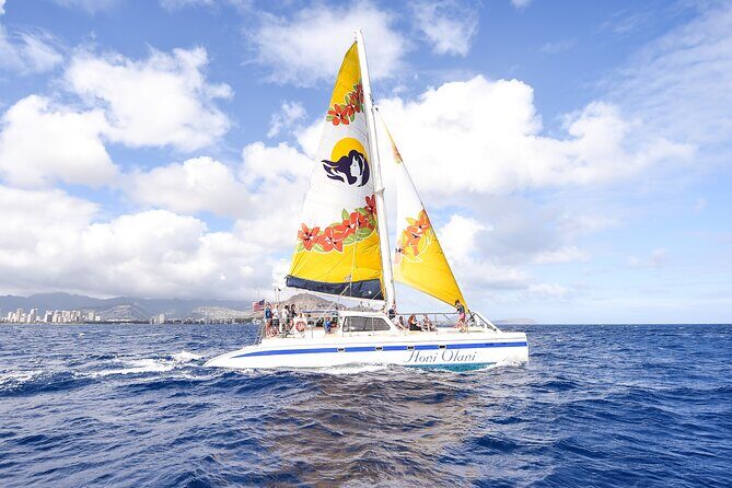 Hawaiian Sea Turtles and Snorkeling Experience in Kona with Lunch - Final Thoughts