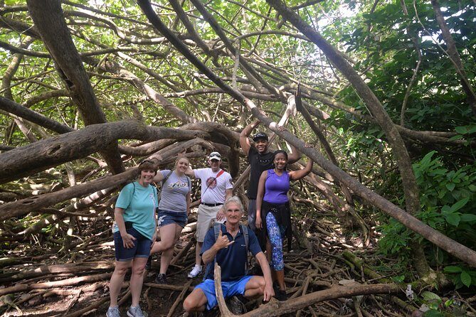 Hawaiian Waterfall Hike - An in-Depth Look at the Hawaiian Waterfall Hike