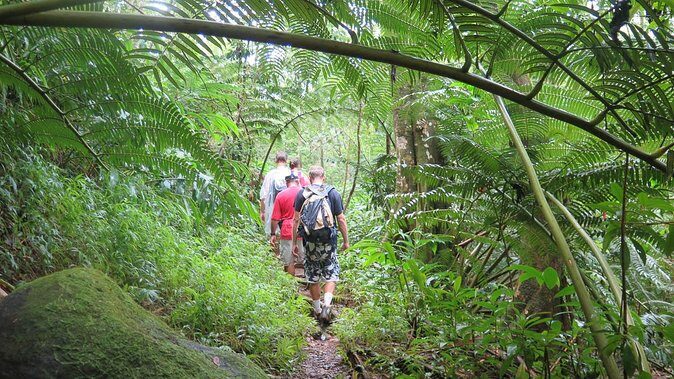 Hawaiian Waterfall Hike - Frequently Asked Questions