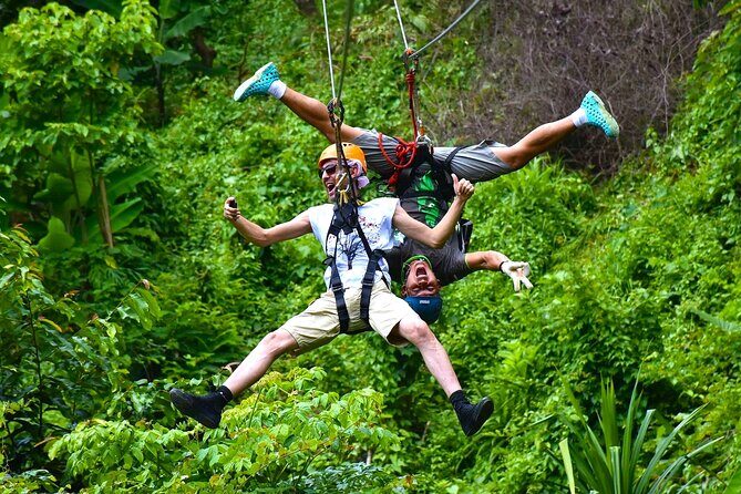 Hawk Adventure Samui  The Largest Zipline Park on the Island - Who Will Enjoy This Tour?