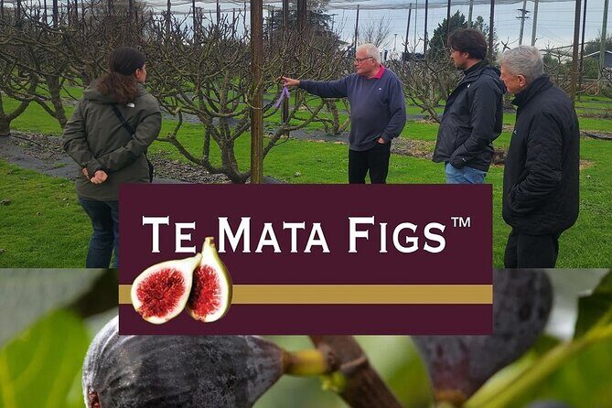 Hawke Bay Local Producers Tour Tastings and Lunch Included - Key Points