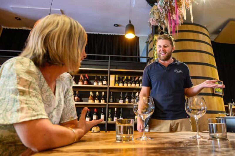 Hawkes Bay: Half-Day Wine Tour with Tastings and Cheeseboard - An In-Depth Look at the Tour Experience