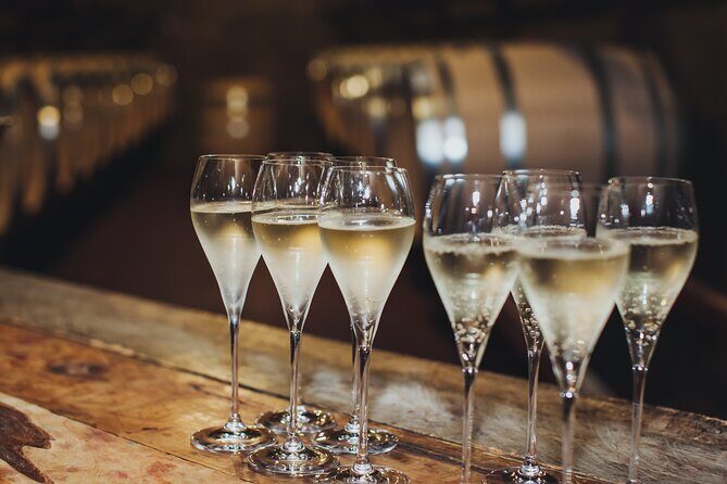 Hawke's Bay Historic Wineries Tour - Featuring NZ oldest Winery - Who Will Get the Most Out of This Tour?