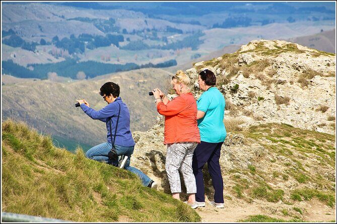 Hawkes Bay - Scenic, luncheon, wine Tour - How the Itinerary Adds Value