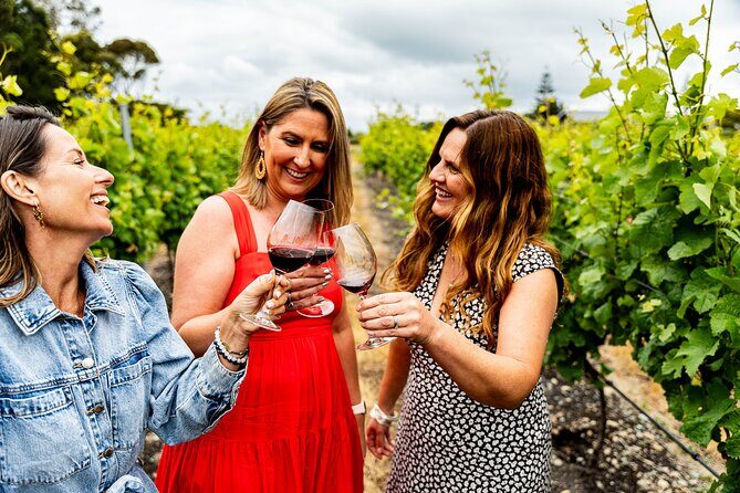 Hawkes Bay Wine & Local Producers Tour | Award Winning | 6 hours - Exploring Hawkes Bay’s Wine & Local Producers Tour: An Authentic Taste of New Zealand