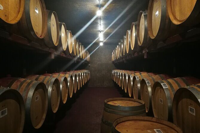 Hawkes Bay Wine Tour: Explore NZ's Great Wine Capital - An Introduction to Hawkes Bay’s Wine and Culture