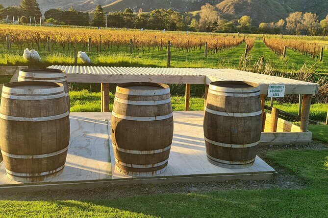 Hawkes Bay Wine Tour: Explore NZ's Great Wine Capital - The Sum Up