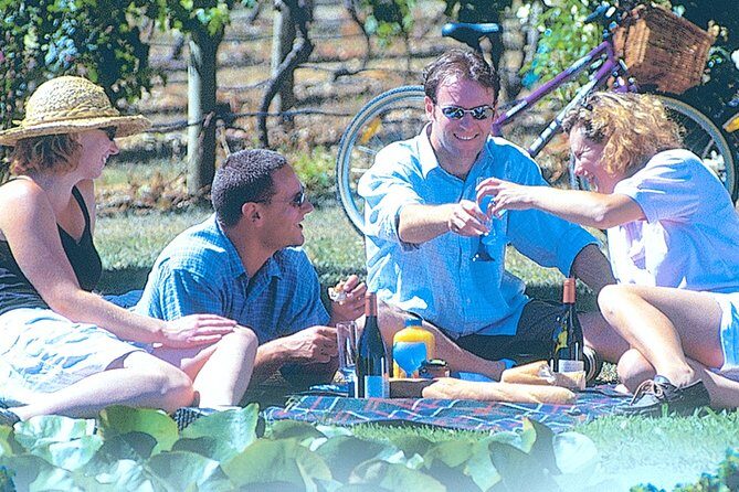 Hawkes Bay Wineries Self-Guided Bike Tour - Authentic Experiences and Real Traveler Insights