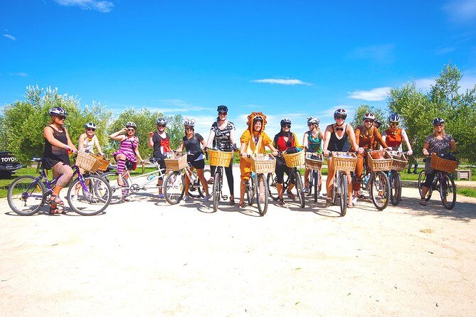 Hawkes Bay Wineries Self-Guided Electric Bike Tour - An In-Depth Look at the Hawkes Bay Wineries Self-Guided E-Bike Tour