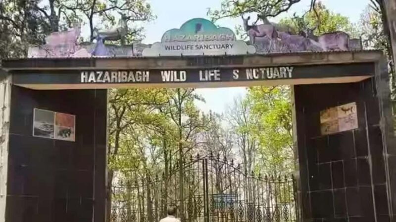 Hazaribagh Same-Day Tour: Nature, Culture & Scenic Views - The Sum Up