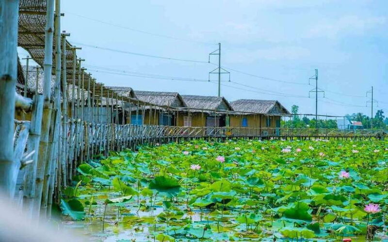 HCM: Authentic Dong Thap Mekong Delta Day Trip & Boat Ride - Who Will Love This Tour?
