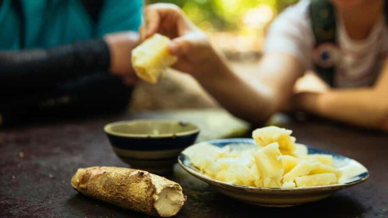 HCM: Explore Cu Chi Tunnels, Shooting, Tasting Steam Cassava - Key Points