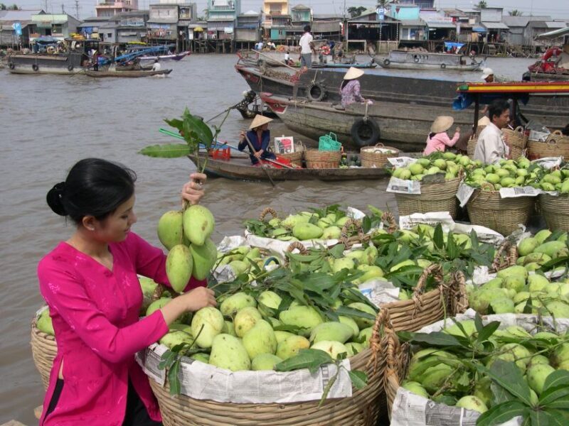 HCMC: Cai Rang Floating Market & Mekong Delta Private Tour - Introduction