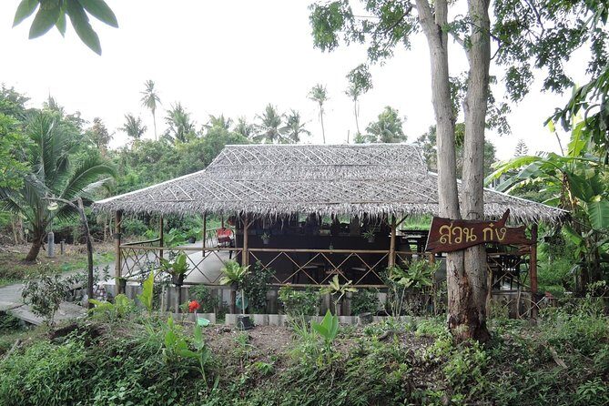 HD-05 Soft adventure ride around Bangwa - A Well-Balanced Look at the Experience