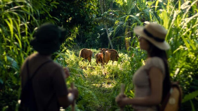 Heal & Reflect  Soul Journey from Ubud to Sacred Lake Batur - Final Thoughts: Is It the Right Choice?