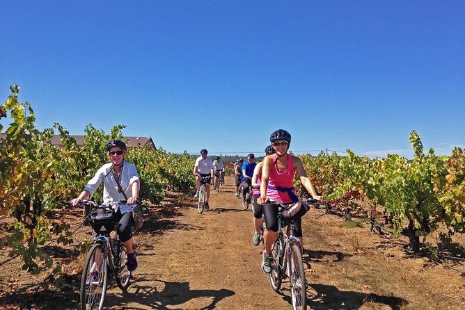 Healdsburg Cycling Wine Tour - Starting Point and First Impressions