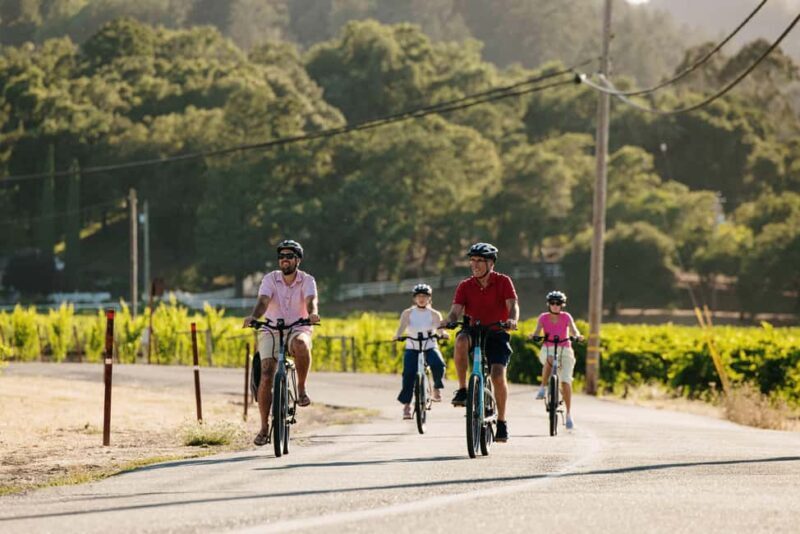 Healdsburg: Guided Electric Bike Wine Tour with Winery Stops - An In-Depth Look at the Sonoma E-Bike Wine Tour