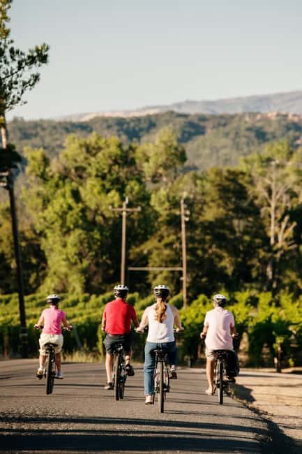 Healdsburg: Guided Electric Bike Wine Tour with Winery Stops - Who Will Love This Tour?