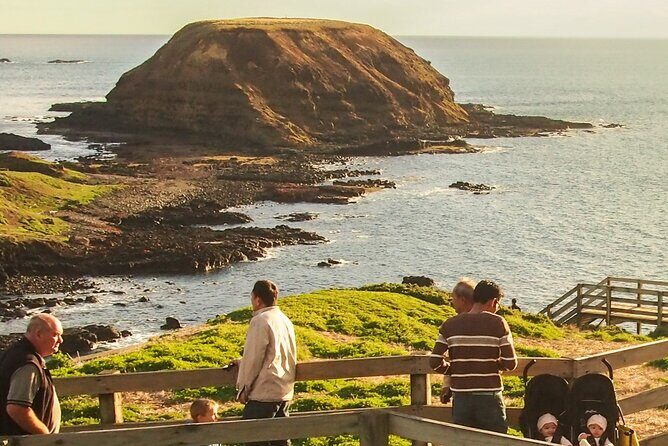 Healesville Sanctuary And Phillip Island Wildlife Bus Tour - Who Will Love This Tour?
