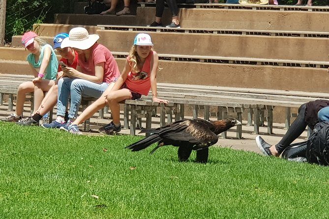 Healesville Sanctuary and Rayners Orchard Tour from Melbourne - A Practical Guide to the Healesville Sanctuary and Rayners Orchard Tour from Melbourne