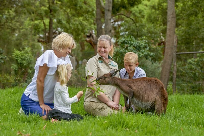 Healesville Sanctuary: General Admission Ticket - Who is This Experience Best For?
