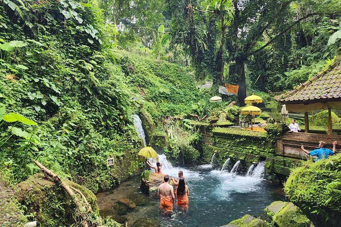 Healing and Adventure Trip in Ubud All Inclusive Journey - Key Points